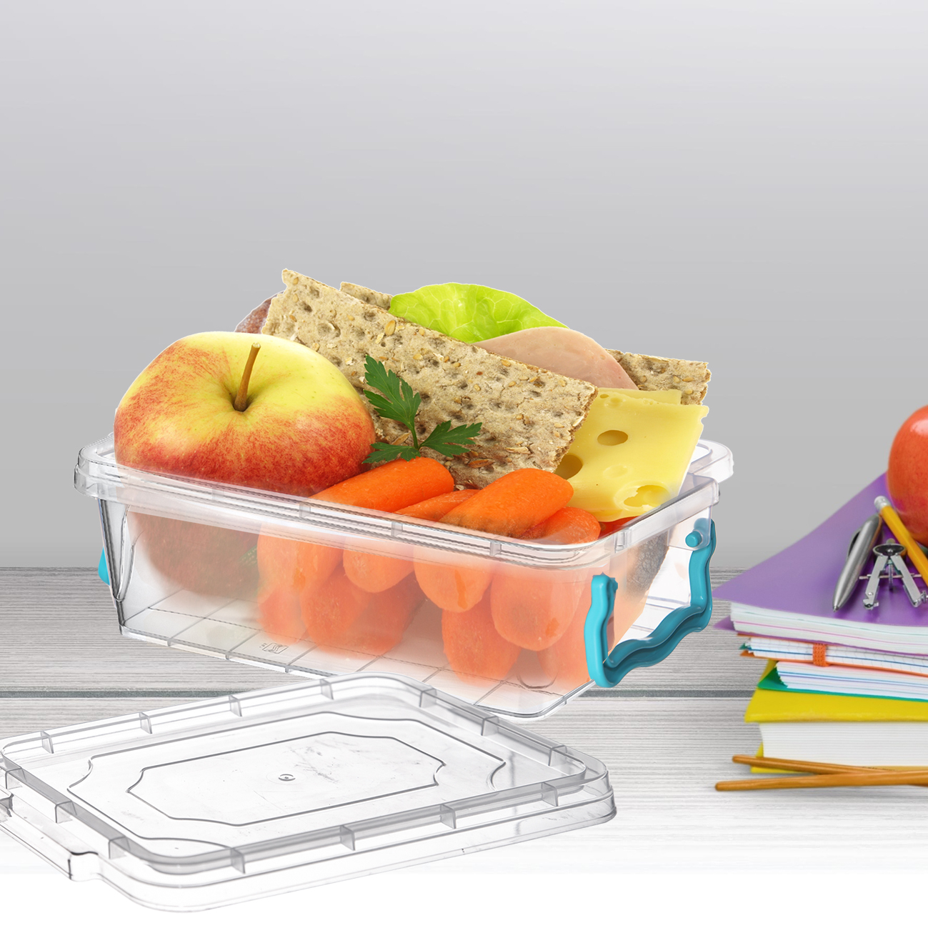 Nízký plastový box MULTI 2 l | Orion - tvoříme vaši domácnost